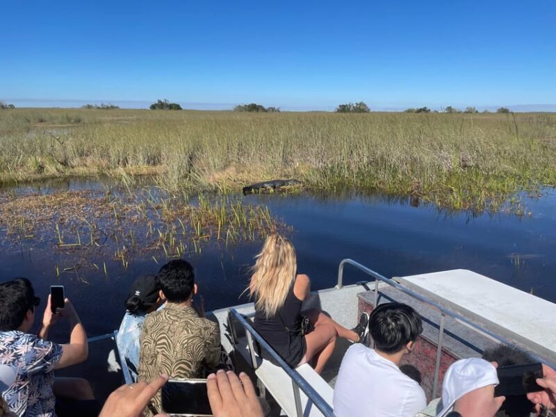 Miami Beach: Everglades Airboat & Wildlife Sanctuary - A Close Look at the Tour Itself