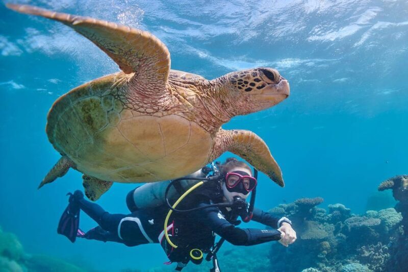 Miami Beach: Guided 2-Tank Reef and Wreck Dive Trip - Final Thoughts