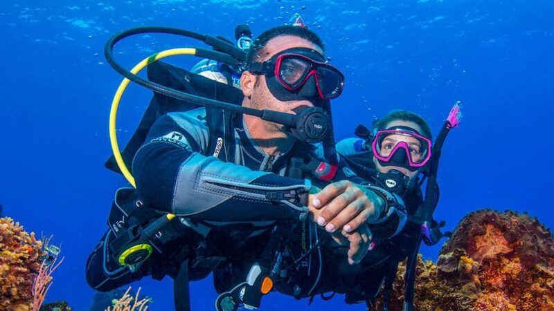 Miami Beach: Guided 2-Tank Reef and Wreck Dive Trip - Real Experience from Other Divers