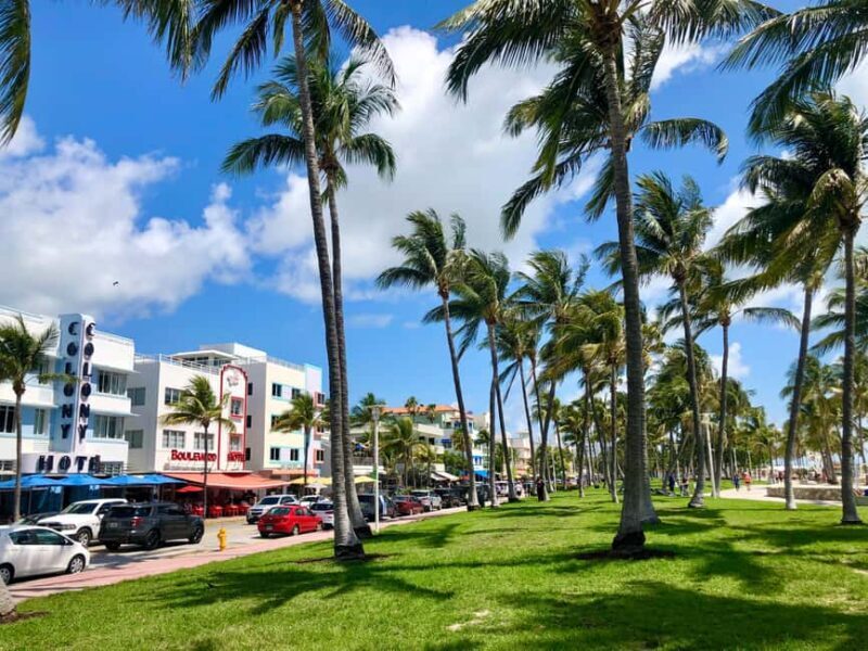 Miami Beach: Guided Tour with Expert Local Guide - A Well-Balanced Introduction to Miami Beach