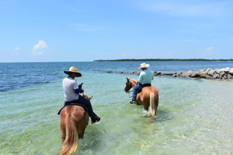 Miami: Beach Horse Ride & Nature Trail - An In-Depth Look at the Experience