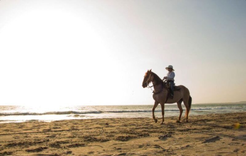 Miami: Beach Horse Ride & Nature Trail - Special Notes: What to Bring and What Not to Expect