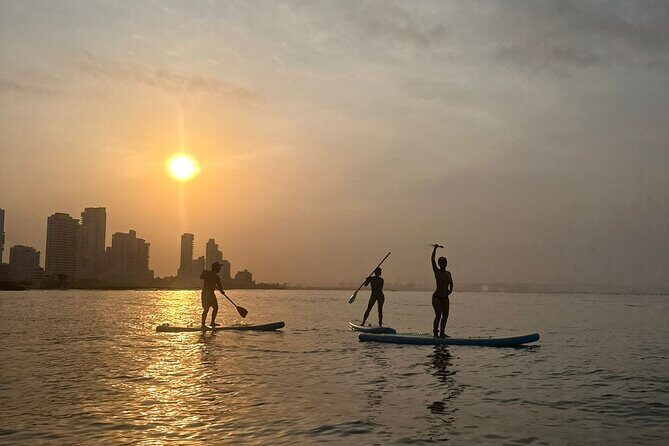 Miami Beach Paddleboard Rental with Instruction - Who Should Consider This Activity?