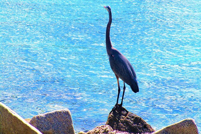 Miami Beach: South Point Park Tour - Practical Details