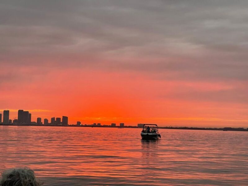 Miami Beach: Spectacular Sandbar & Skyline Boat Tour - The Experience in Detail