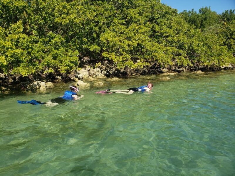 Miami: Beginner-Friendly Island Snorkeling by SUP or Kayak - An Introduction to the Tour