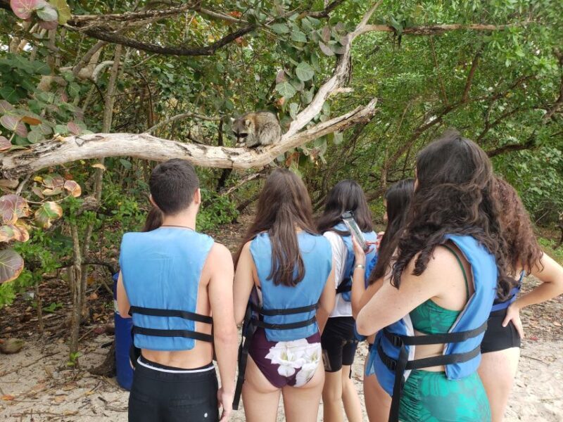 Miami: Beginner-Friendly Island Snorkeling by SUP or Kayak - Who This Tour Is Perfect For