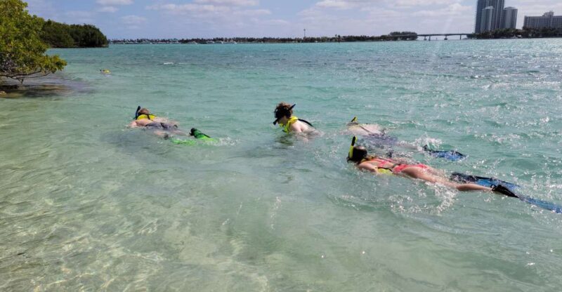 Miami: Beginner-Friendly Island Snorkeling by SUP or Kayak - The Sum Up