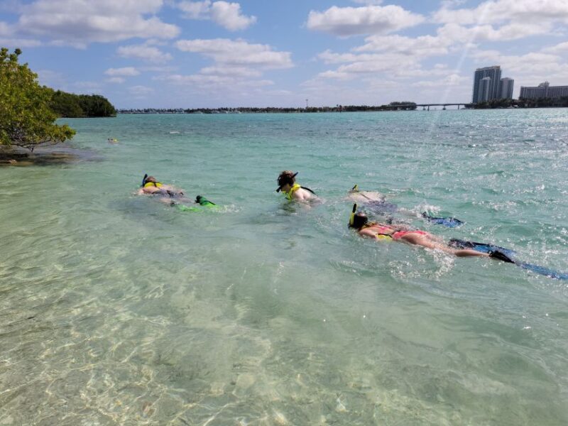 Miami: Beginner-Friendly Island Snorkeling by SUP or Kayak - FAQ