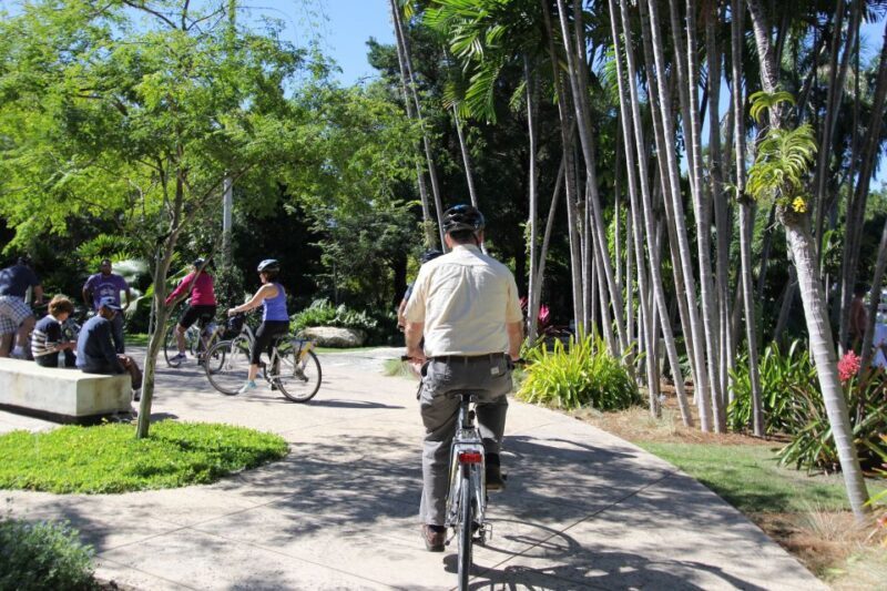 Miami: Bike Rental - Practical Details You Should Know