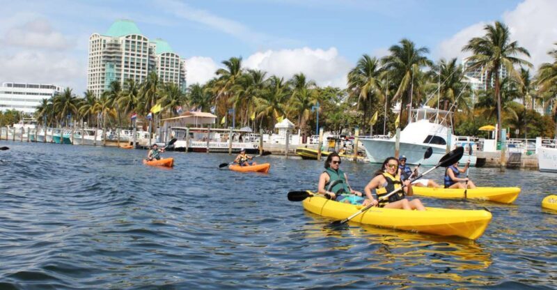 Miami: Biscayne Bay Kayak or Paddleboard Rental - An Authentic Water Experience in Biscayne Bay