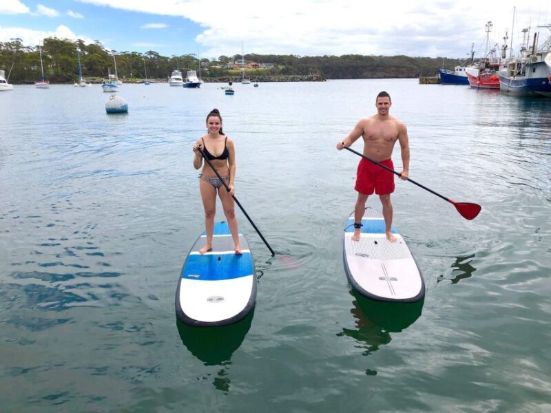 Miami: Biscayne Bay Kayak or Paddleboard Rental - The Value of the Experience