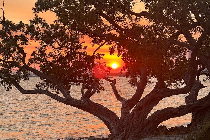 Miami Boat-Private boat Ride Tours with Experienced Captain - Final Thoughts: Why This Tour Stands Out