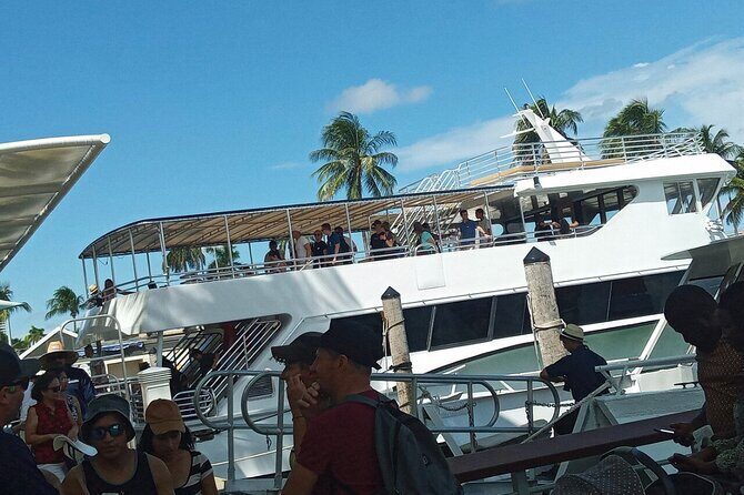 Miami Boat Tour of Celebrity Homes & Miami River Skyline 360 View - FAQ