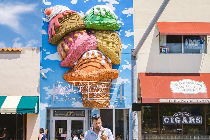 Miami City Tour  South Beach, Wynwood Walls & Little Havana - Who Should Consider This Tour?