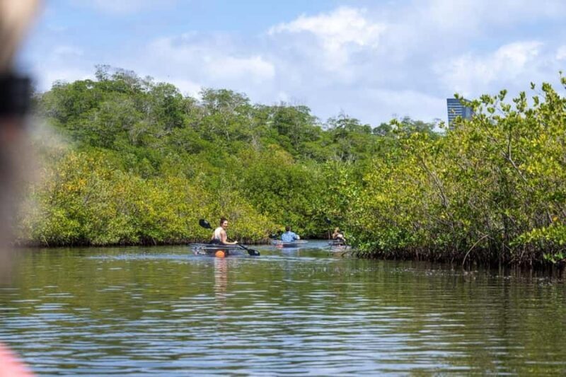 Miami: Clear Kayak Eco Tour with Guide and Wildlife - FAQ