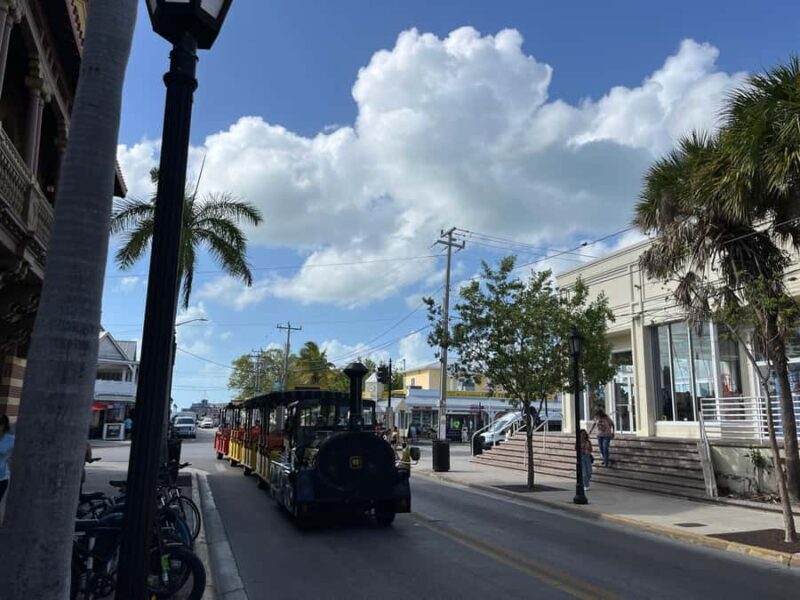 Miami: Day Tour of the Keys in a Convertible Mustang (French) - Pricing and Value