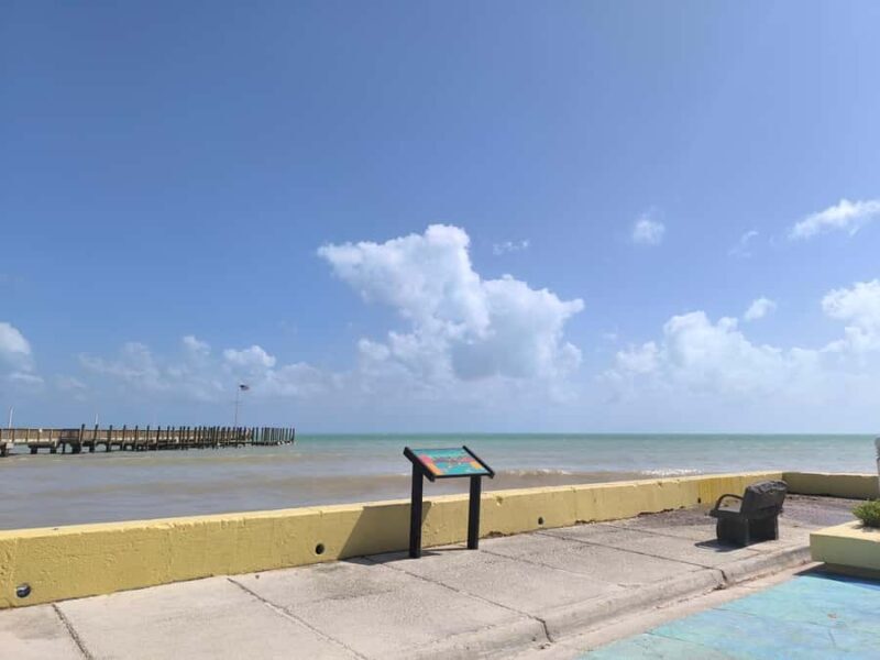 Miami: Day Tour of the Keys in a Convertible Mustang (French) - Who Should Book This Tour?