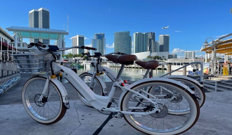 Miami: Electric Bike Rental - The Sum Up