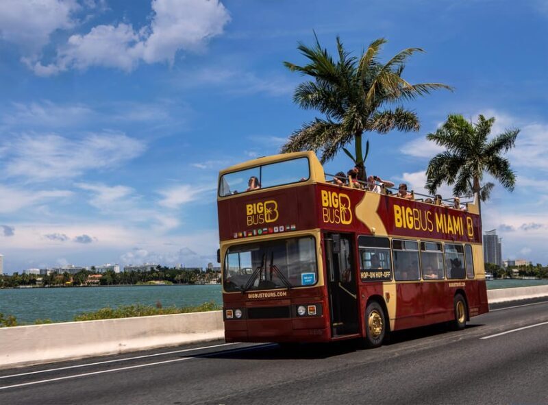 Miami: Everglades Adventure & Big Bus Hop-on Hop-off Tour - A Detailed Look at the Experience