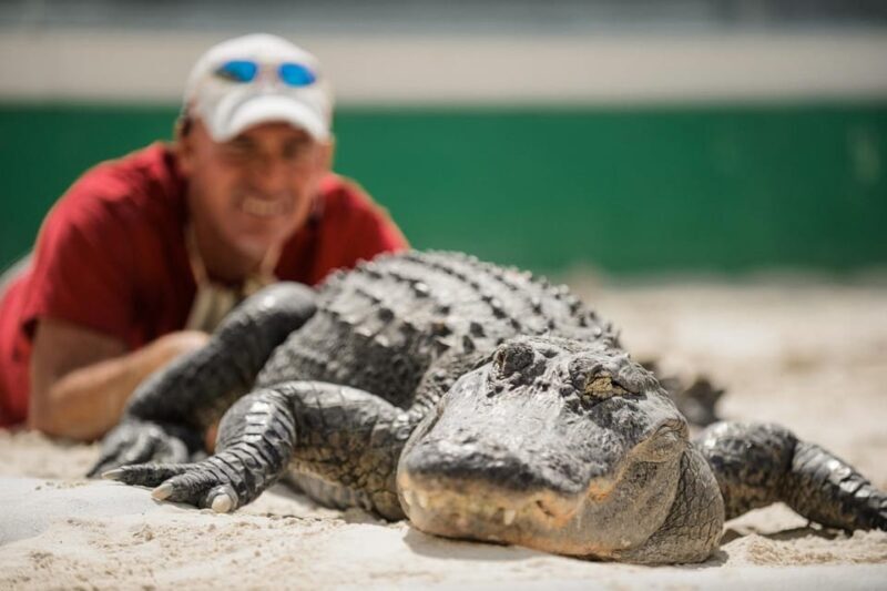 Miami: Everglades Adventure & Big Bus Hop-on Hop-off Tour - FAQ