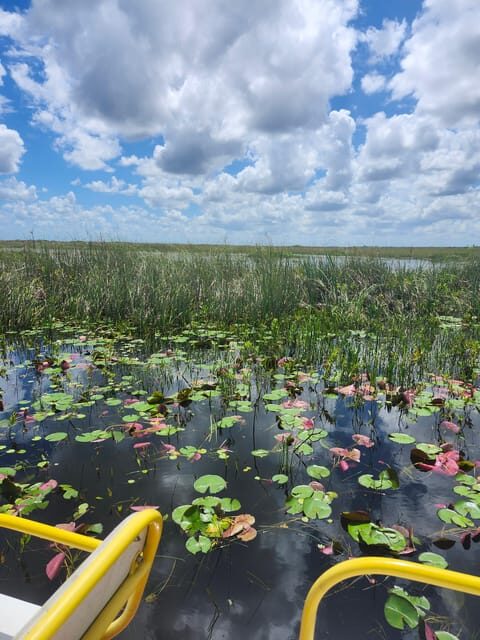 Miami: Everglades Airboat Eco Tour w/ Luxury Transportation - The Sum Up