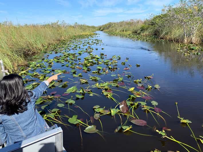 Miami: Everglades Airboat, Photo & Gator Experience - Introduction
