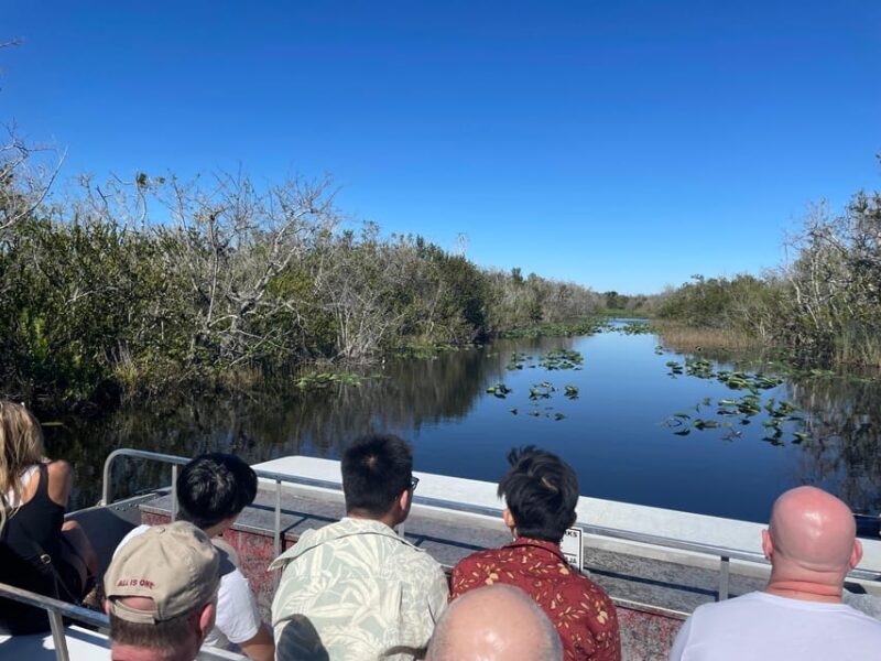 Miami: Everglades Airboat, Photo & Gator Experience - What You Can Expect from This Tour