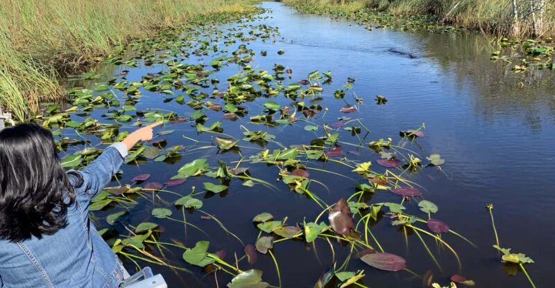 Miami: Everglades Airboat, Photo & Gator Experience - The Value of This Tour