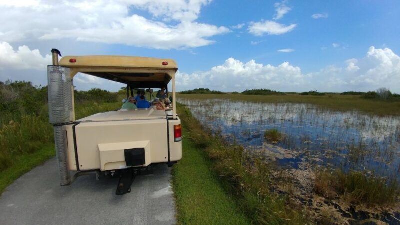 Miami: Everglades Airboat Ride and Tram Tour - Final Thoughts