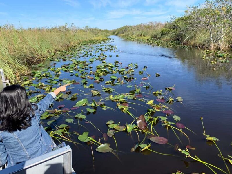 Miami: Everglades Airboat & Wildlife Experience - Introduction to the Experience