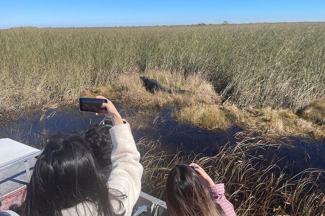 MIAMI: Everglades Airboat, Wildlife Gator Show and Photo - Authentic Encounters and Realistic Expectations