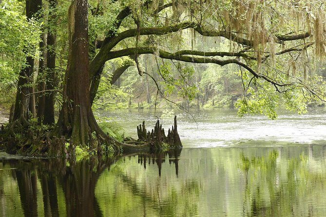 MIAMI: Everglades Airboat, Wildlife Gator Show and Photo - Questions & Answers