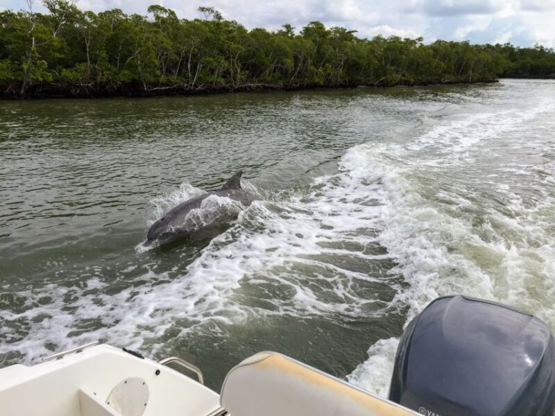 Miami: Everglades Full-Day Tour with 2 Boat Trips and Lunch - What makes this tour special?