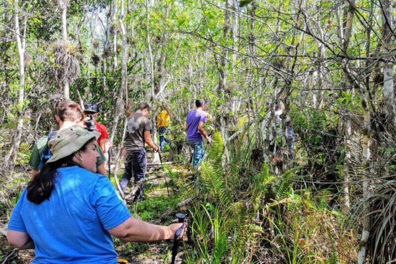 Miami: Everglades National Park Hiking and Kayaking Day Trip - Why This Tour Offers Great Value