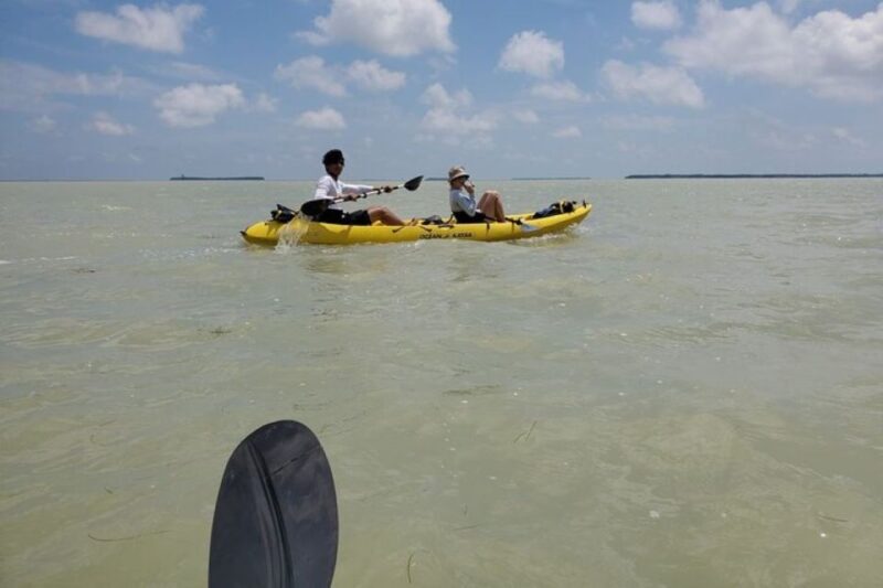Miami: Everglades National Park Hiking and Kayaking Day Trip - Logistical Details and Practicalities