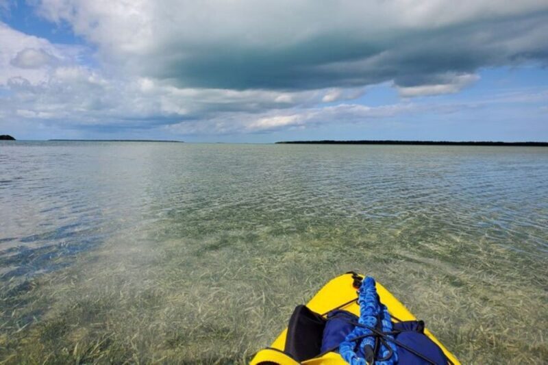 Miami: Everglades National Park Hiking and Kayaking Day Trip - Final Thoughts: Is This Tour Right for You?