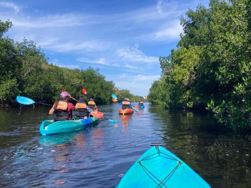 Miami: Everglades National Park Kayaking & Hiking Tour - Key Points