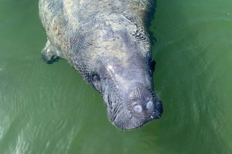 Miami: Everglades National Park Kayaking & Hiking Tour - The Experience in Context