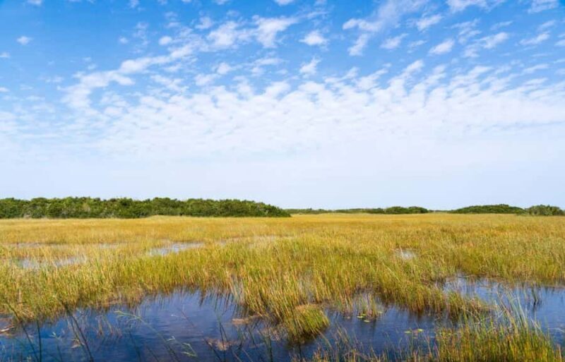 Miami: Everglades Private Tour - What We Love About This Tour