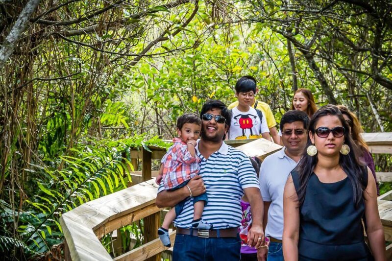 Miami: Everglades Safari Park Airboat Tour - Key Points