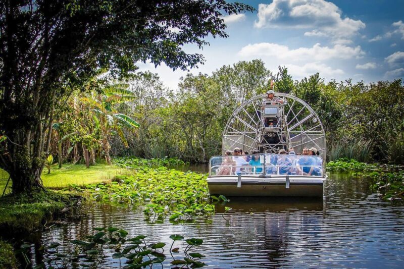 Miami: Everglades Safari Park Airboat Tour - The Experience in Context