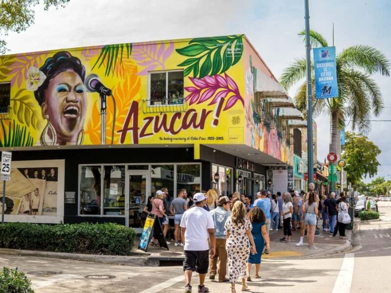 Miami: Explore Magic City in Style  2-Hour VIP Tour - Key Points