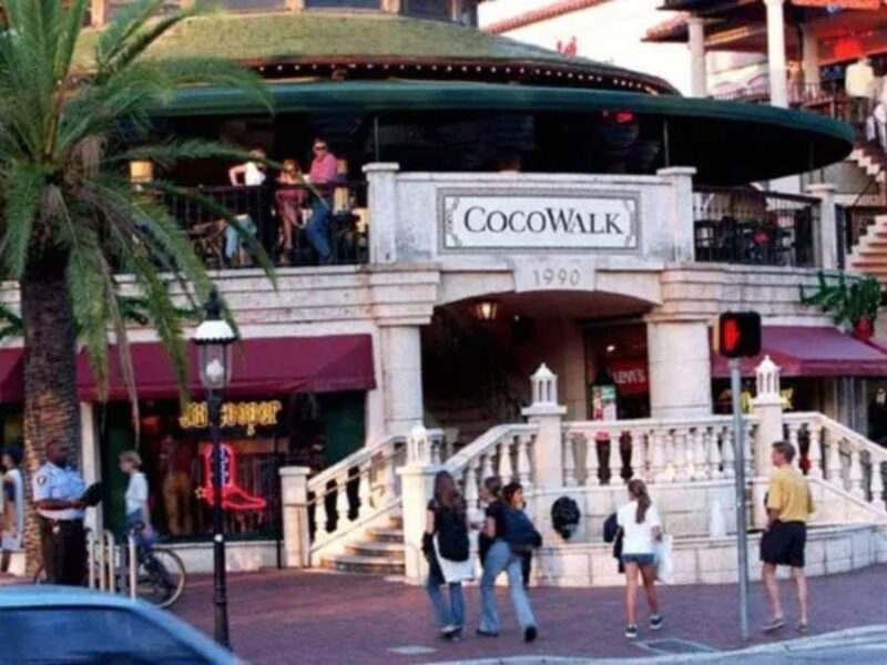 Miami: Explore Magic City in Style  2-Hour VIP Tour - A Practical Look at the 2-Hour VIP Tour