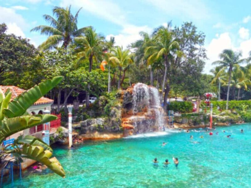 Miami: Explore Magic City in Style  2-Hour VIP Tour - Who Should Consider This Tour?