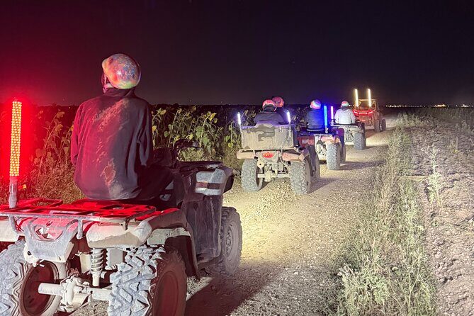 Miami Extreme Buggy UTV Glow in the Dark Ride - What to Expect: An Honest Look at the Experience