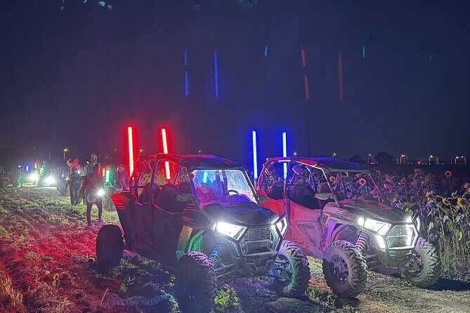 Miami Extreme Buggy UTV Glow in the Dark Ride - Pricing and Value
