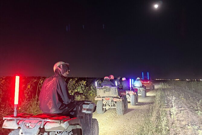 Miami Extreme Buggy UTV Glow in the Dark Ride - Who Will Love This Tour?