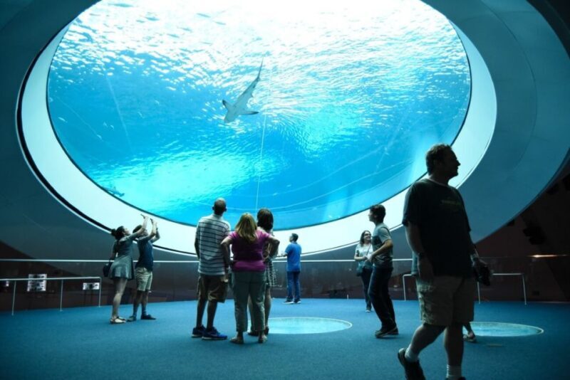 Miami: Frost Museum of Science and Planetarium Entry Ticket - FAQ