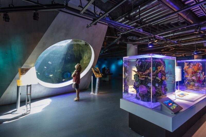 Miami: Frost Museum of Science and Planetarium Entry Ticket - A Walkthrough of the Frost Museum Experience
